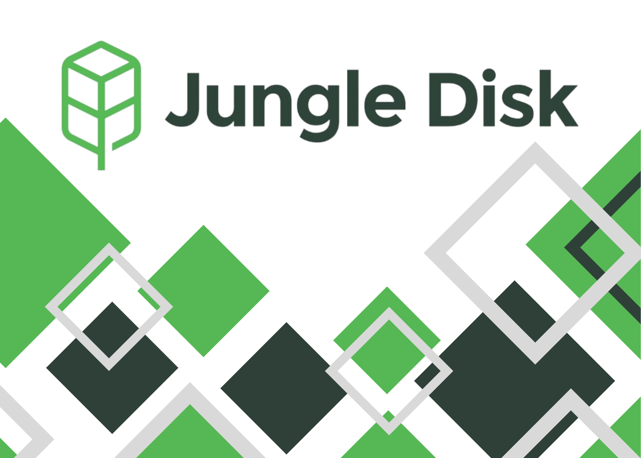 Jungle Disk Case Study - StatusCast